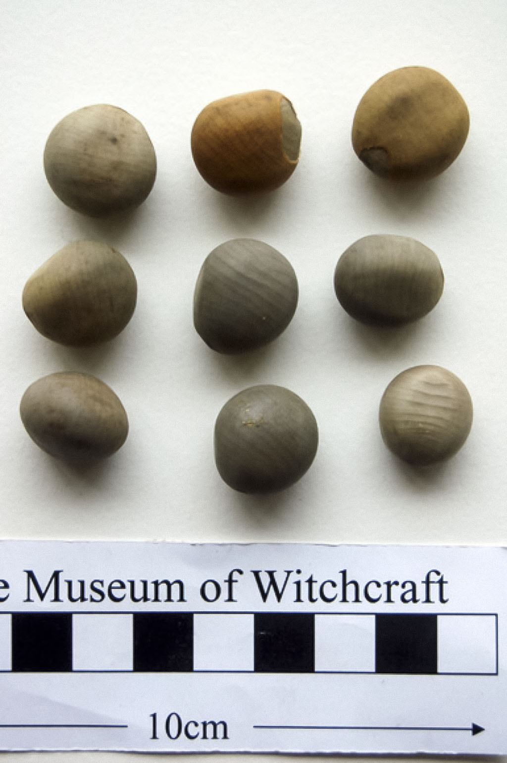 2401 - Gray Nickernuts - Museum of Witchcraft and Magic