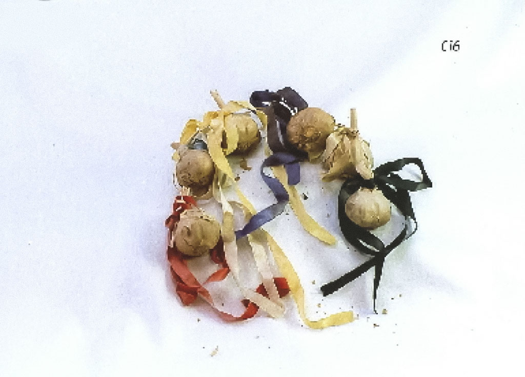 249 - GARLIC AND RIBBON CHARM - Museum of Witchcraft and Magic