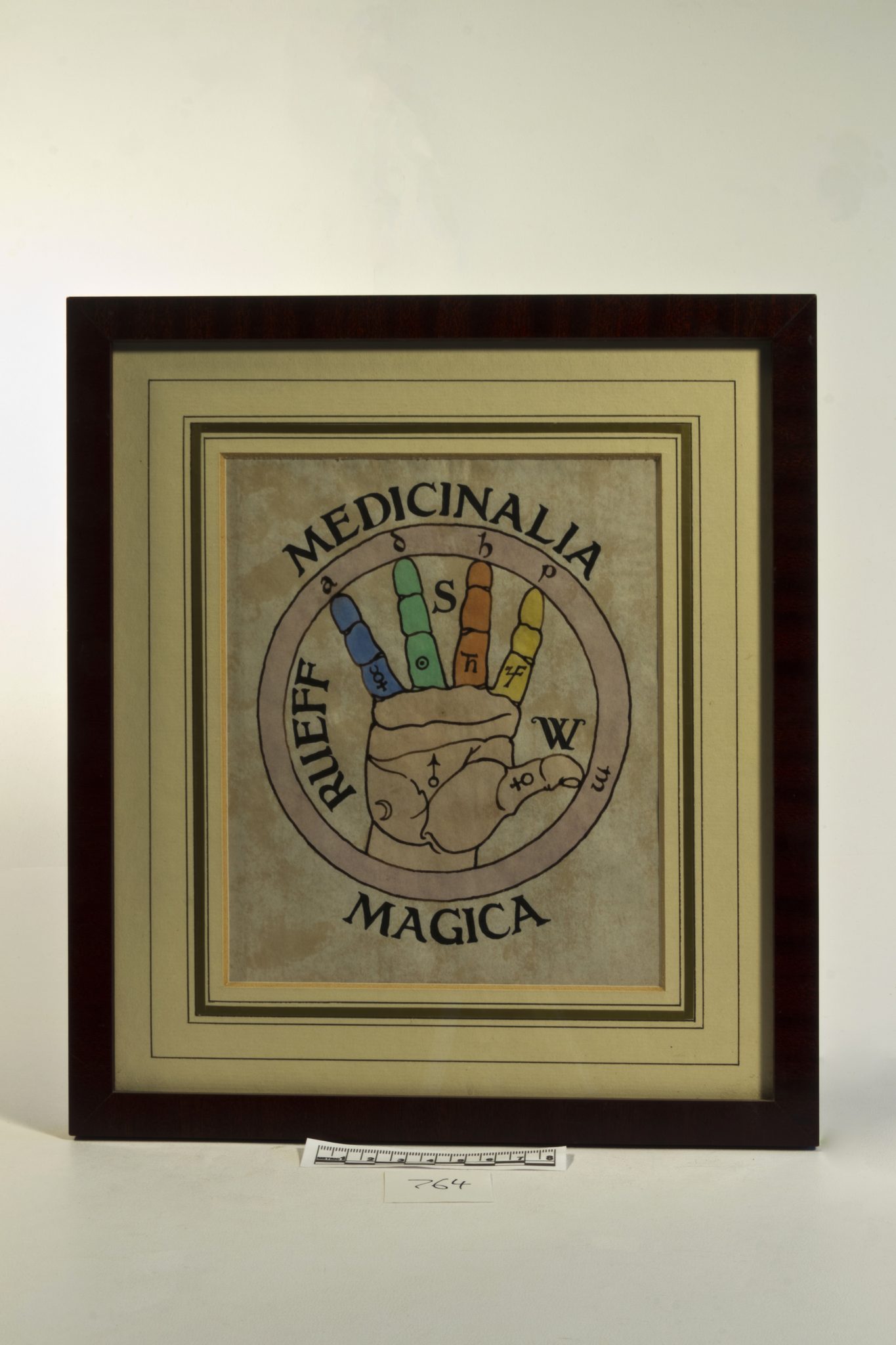 764 - Picture of hand - Museum of Witchcraft and Magic