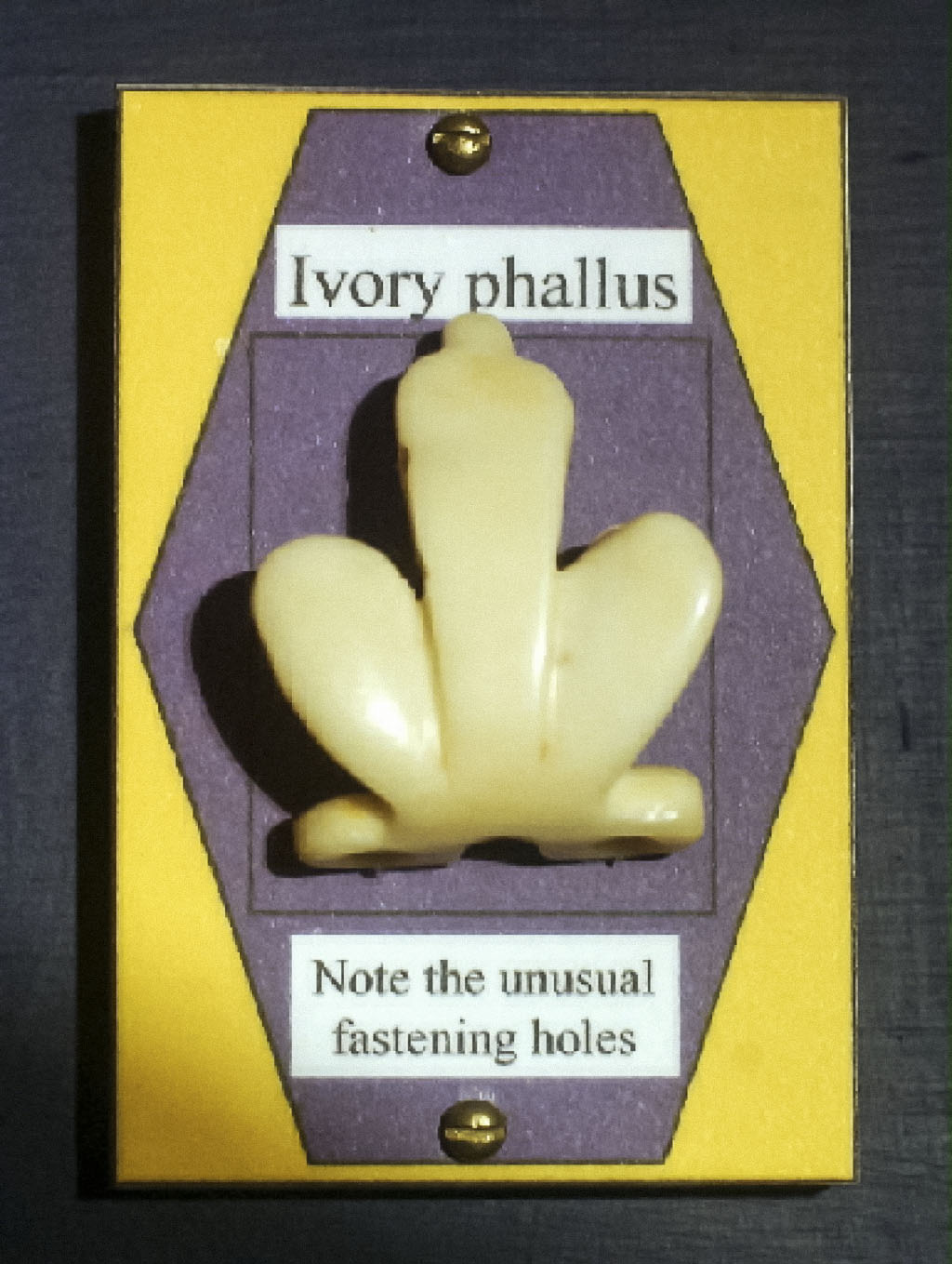 779 - Ivory phallus - Museum of Witchcraft and Magic