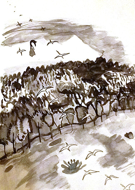 Drawing to Discover: The British Witch A Pop Up Exhibition by Hayley ...